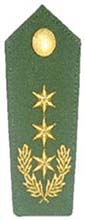 Dienstgrade der Bundespolizei